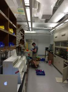 John Arrives for his Summer Rotation – Molecular Complexity through ...