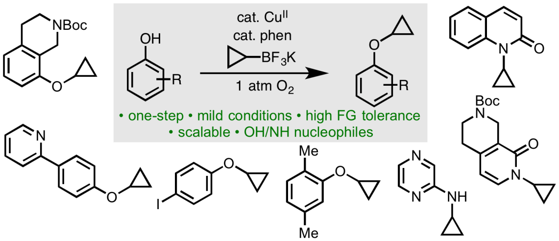 Chan–Lam N- and O-cyclopropylation (Pfizer collaboration) – Molecular ...