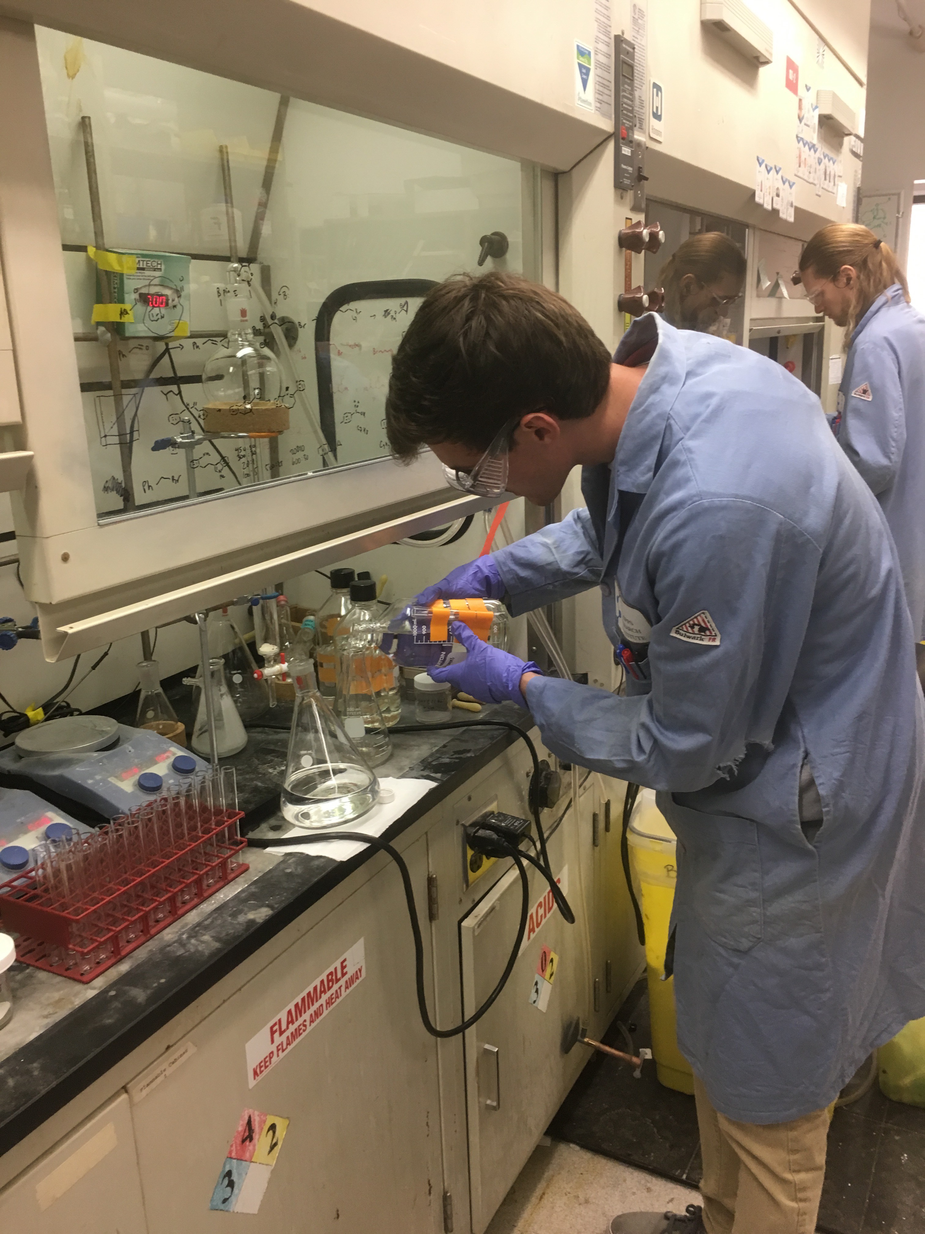 New Undergrad joins the Lab – Molecular Complexity through Catalysis