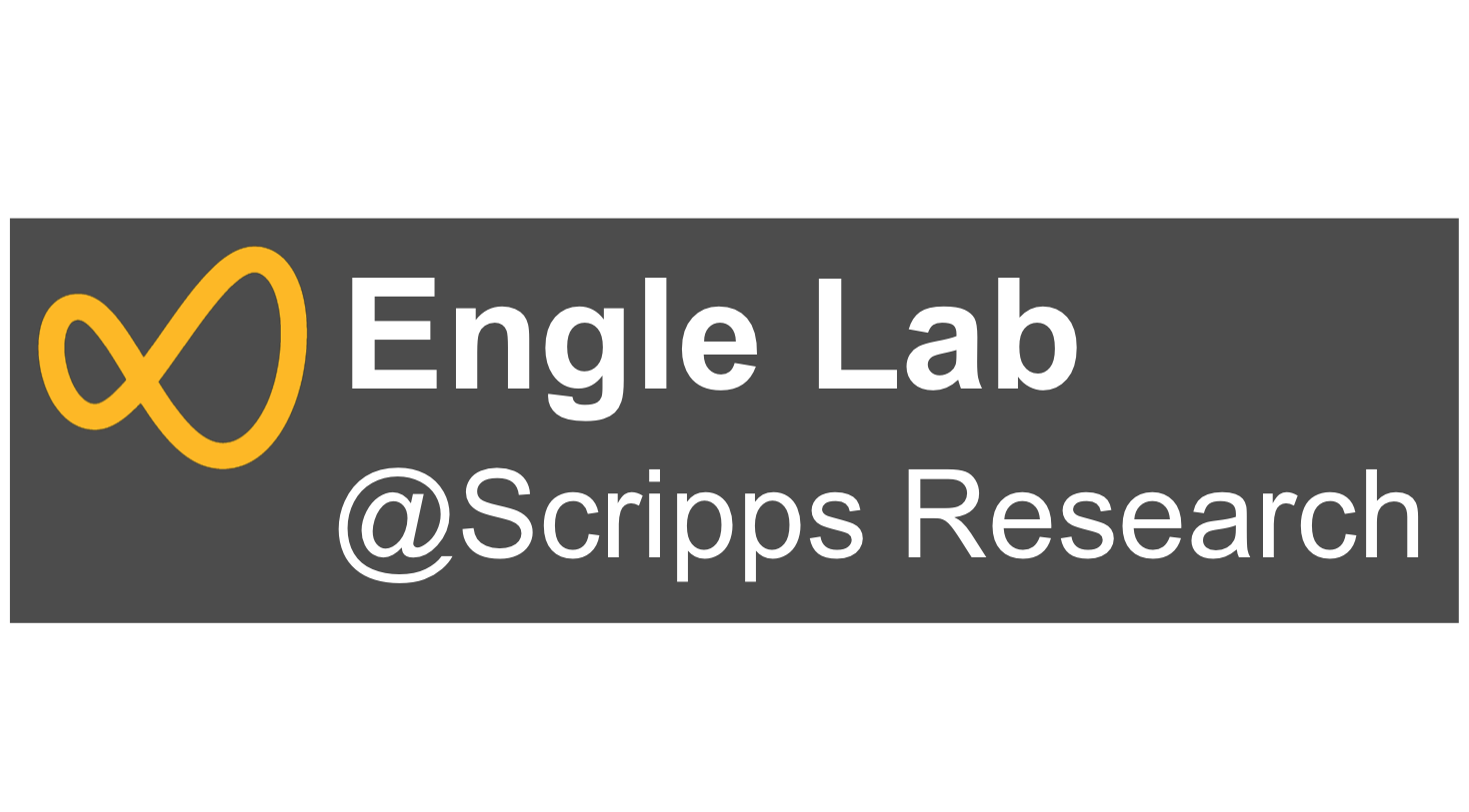 Molecular Complexity through Catalysis