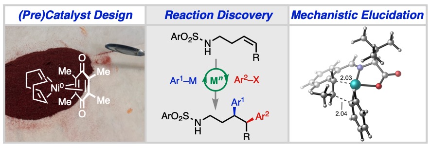 Research – Molecular Complexity through Catalysis