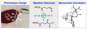 Research – Molecular Complexity through Catalysis